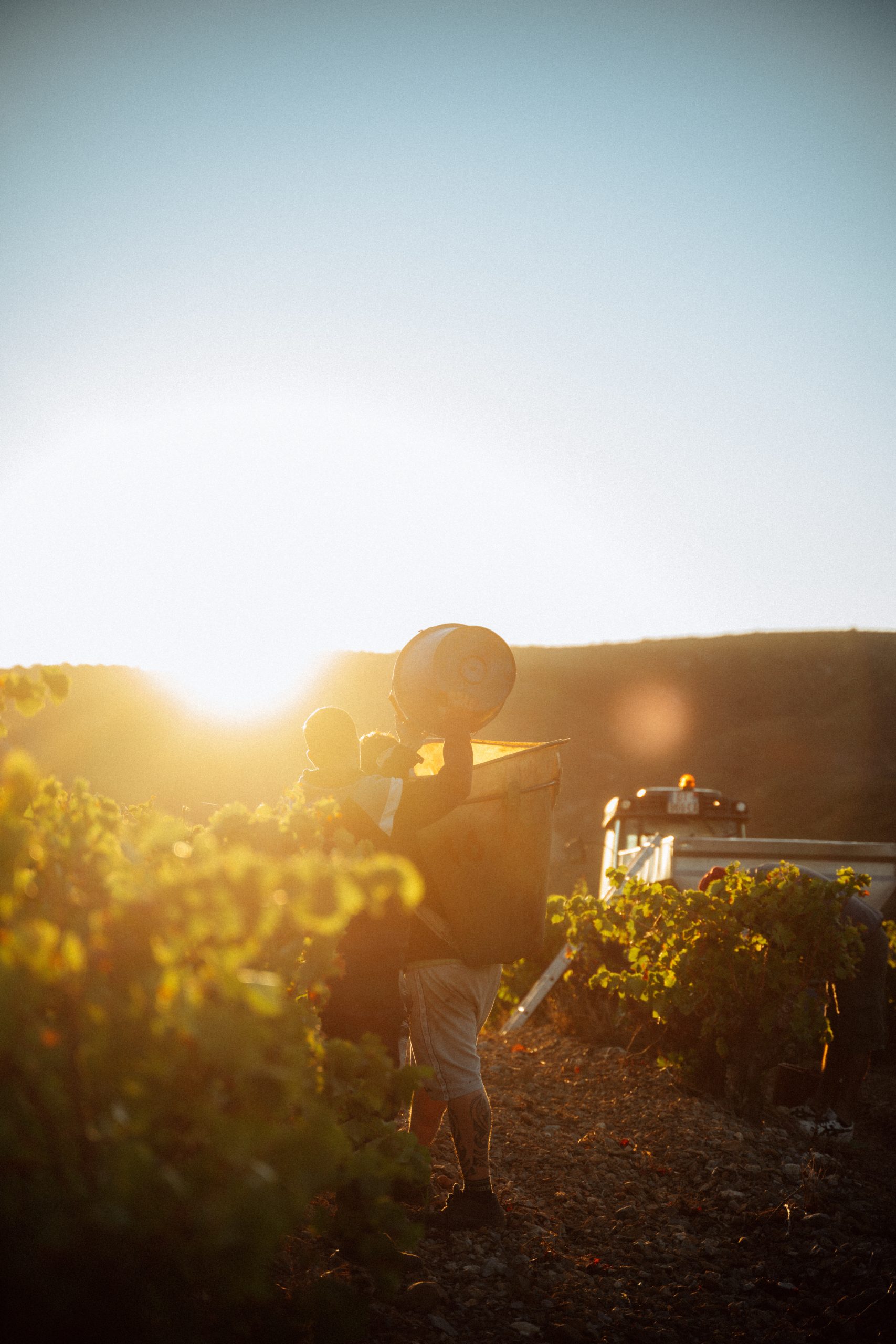 Nos Vins – ARAGONE – Clos del Rey – Famille Montagné – Domaine viticole ...